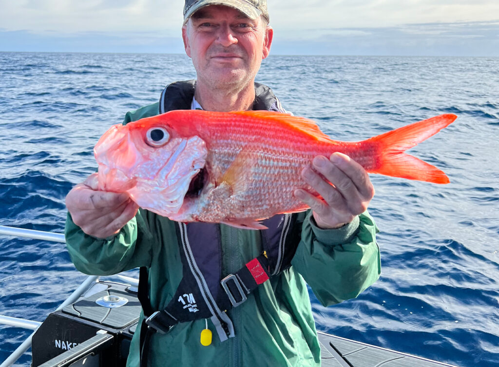 Ultimate Golden Snapper, Ruby & Tarakihi Fish